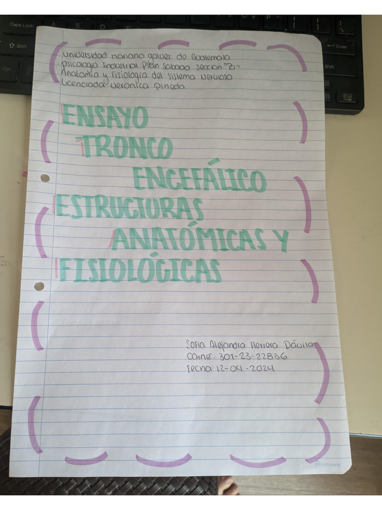 tarea anatomía semana 9 | PDF