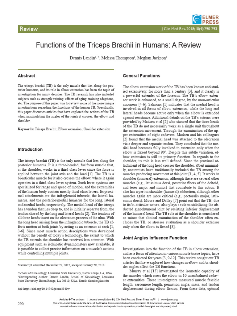 Functions of The Triceps Brachii in Humans: A Review | PDF | Elbow ...