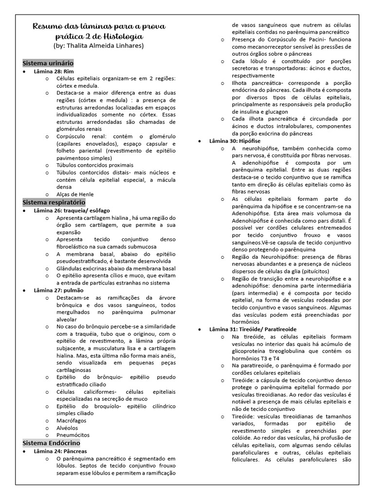 Resumos Das Laminas para A Prova Prática 2 de Histo | PDF | Epitélio | Ovário