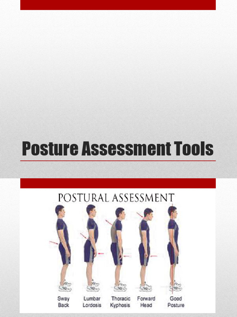 Posture Assessment Tools 1 | Download Free PDF | Vertebral Column | Pelvis