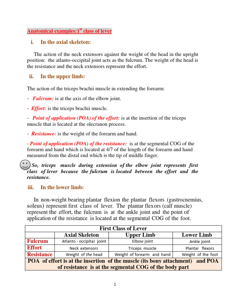 Anatomical Examples | PDF | Anatomical Terms Of Motion | Foot