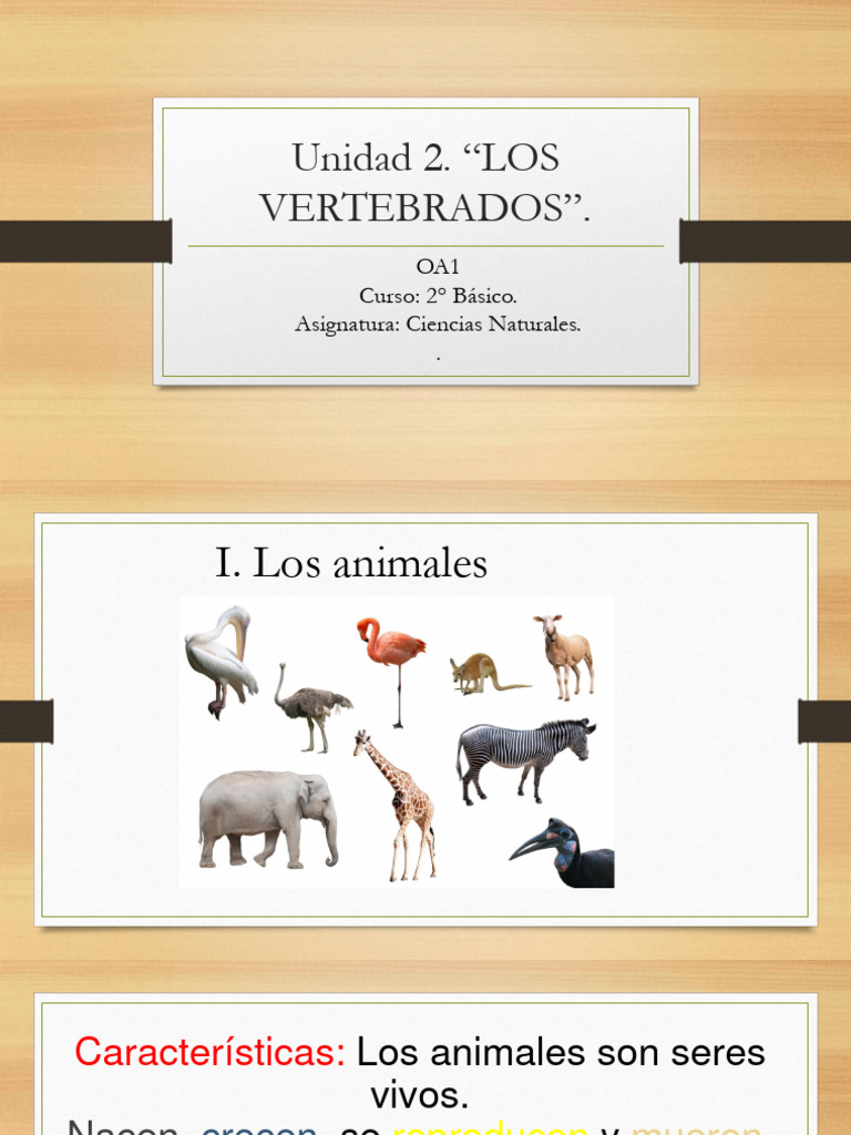 Apunte 2. Los Vertebrados 160796 20240420 20240321 082019 | PDF