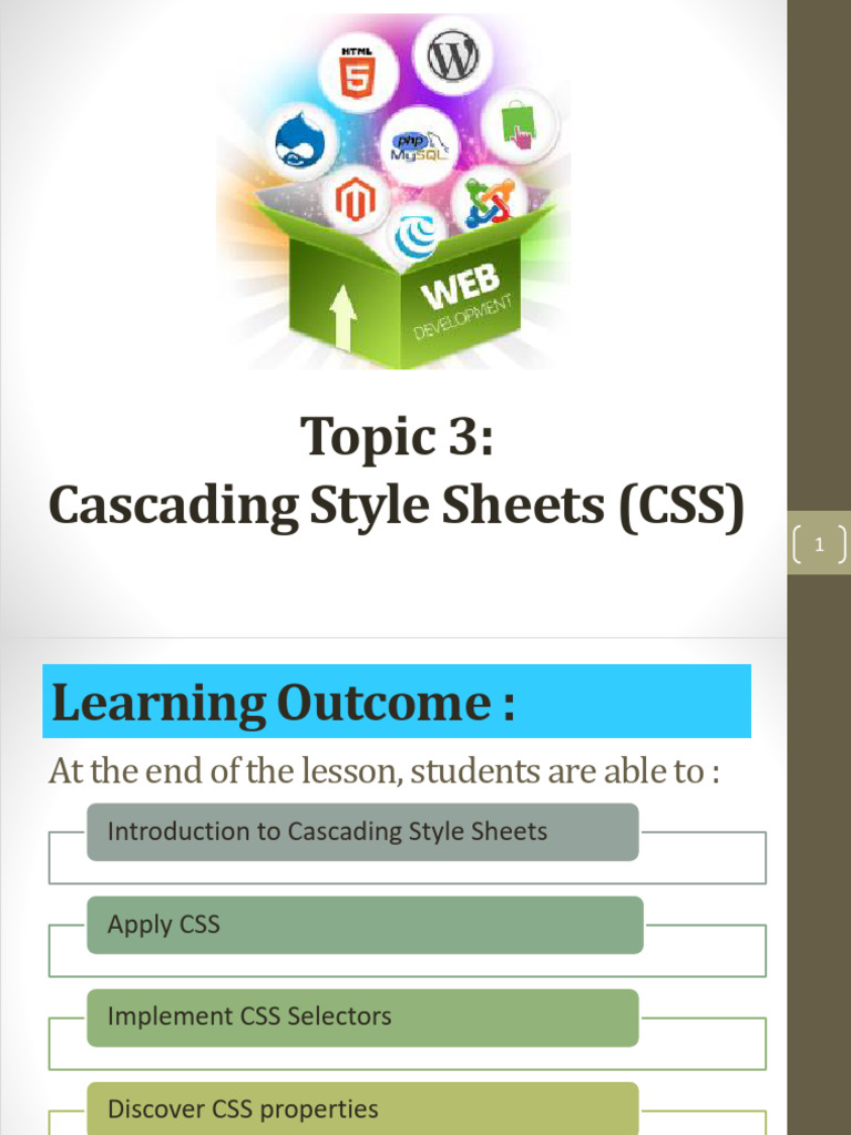 Topic 3 CSS | PDF | Internet | World Wide Web