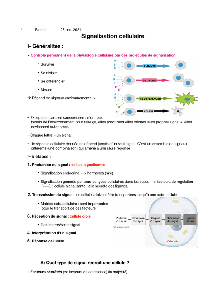 Signalisation cellulaire et facteurs de croissance | PDF ...