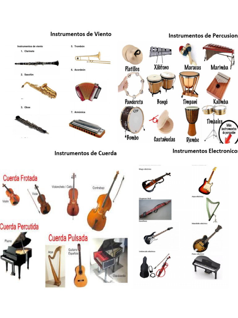 Instrumentos de Viento, Percusion y Cuerda | PDF