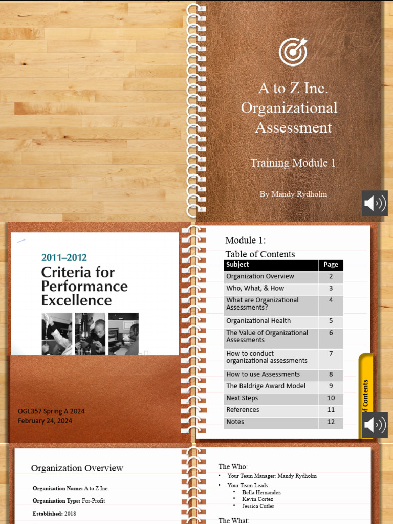 Organizational Assessment Training Guide | PDF | Strategic Planning | Business Economics