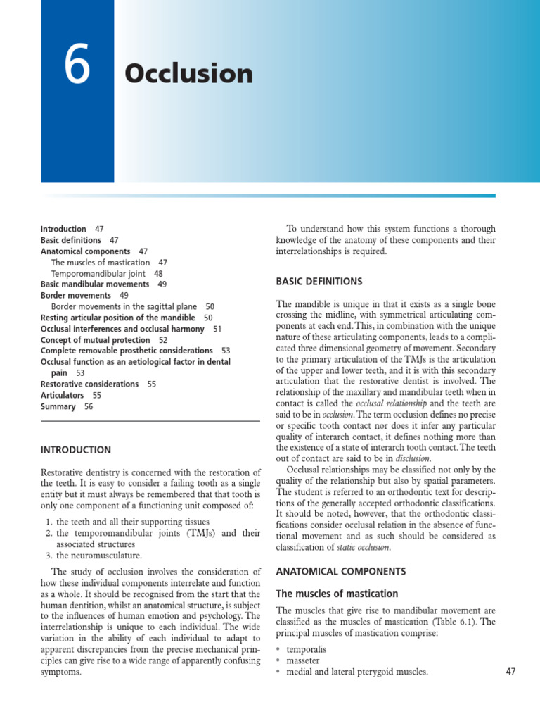 6 Occlusion | PDF | Anatomy | Mouth