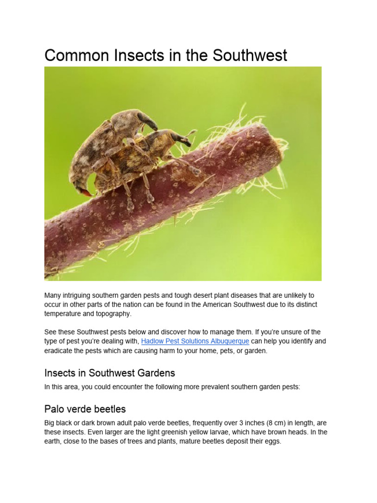 102679-8479BU - Common Insects in The Southwest | PDF | Pest (Organism ...