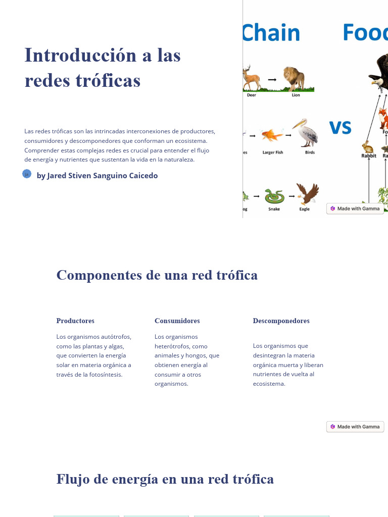 Introduccion A Las Redes Troficas | PDF | Red alimentaria | Ecosistema