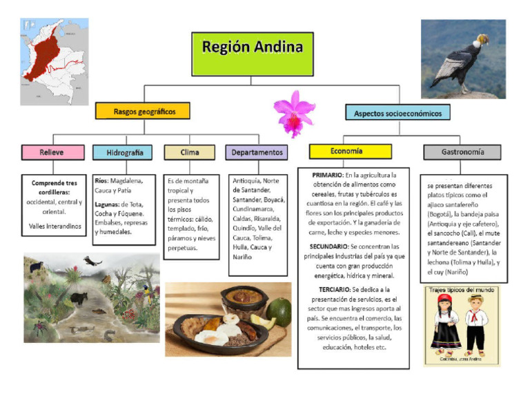 MAPA DE REGION ANDINA | PDF