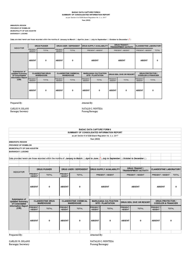 Badac Form 6 Consolidated Information Report (Autosaved) | Download ...