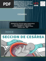 11 Tipos de Incisiones para Una Cesarea | PDF | Parto | El embarazo