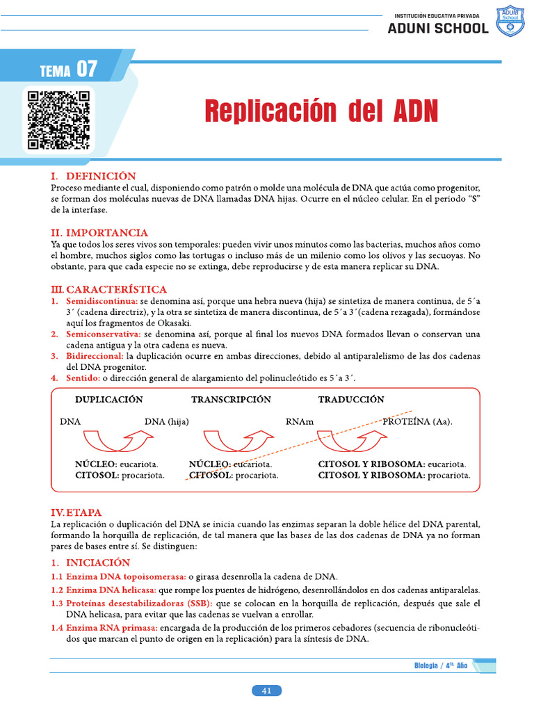 Replicación del ADN | Descargar gratis PDF | Replicación De Adn | Adn