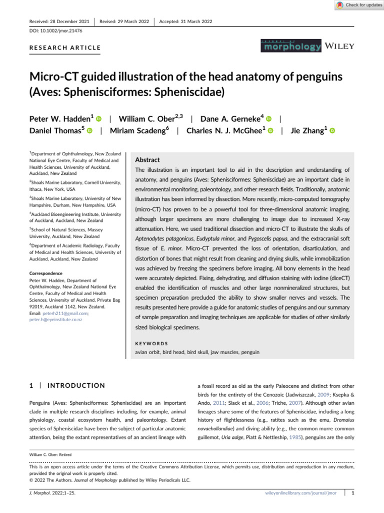 Penguin Head Anatomy via Micro-CT | PDF | Penguin | Anatomy