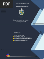 Inervación de La Laringe | PDF