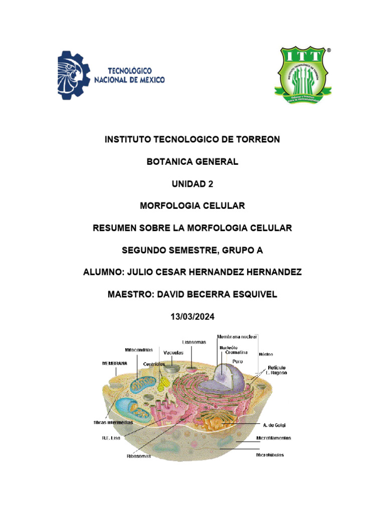Morfologia Celular | PDF | Plantas | Biología Celular)