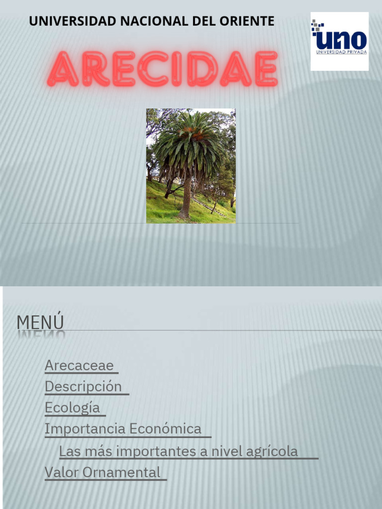 Guía de Palmas: Ecología y Uso Económico | PDF | Arecaceae | Plantas