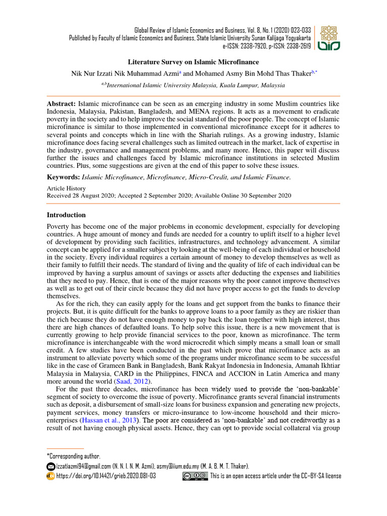 LITERATURE SURVEY MICROFINANCE | PDF | Microfinance | Islamic Banking ...