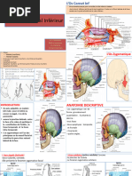 6 - Anatomie Des Os de La Face | PDF | Anatomie humaine | Appareil ...