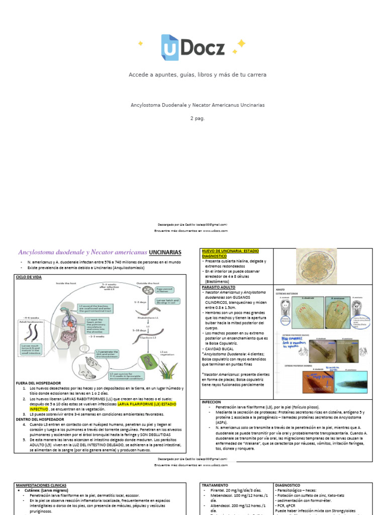 16 Ancylostoma Duode 496493 Downloadable 5093686 | PDF | Enfermedades y ...