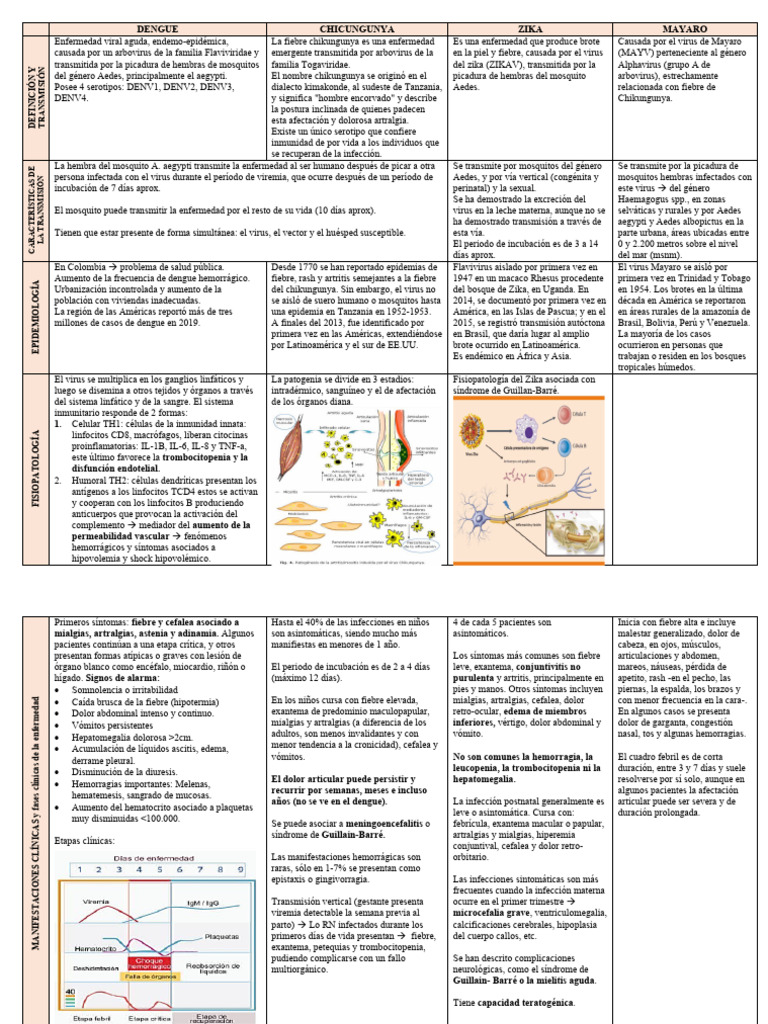Dengue Chicungunya Zika Mayaro y Oropuche | PDF | Fiebre del zika ...