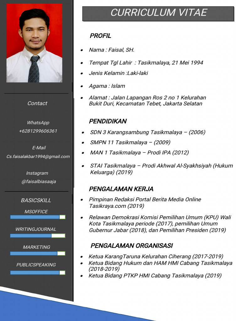 CV FAISAL | PDF