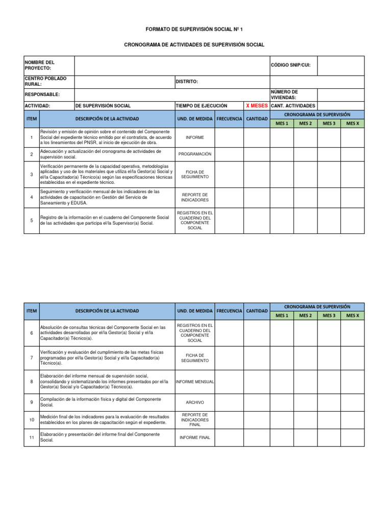 Formato de Supervisión Social N° 01 | Descargar gratis PDF | Informática