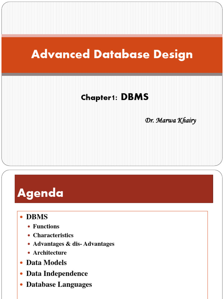 Ch1 | PDF | Databases | Data Model