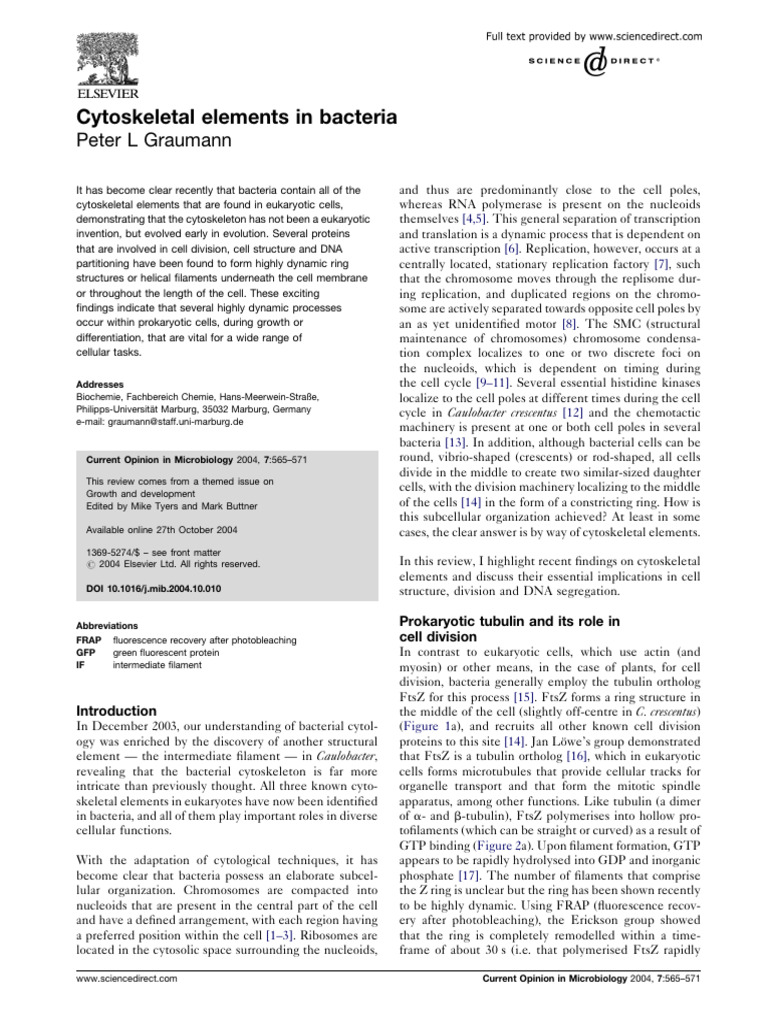 Cytoskeletal Elements in Bacteria | PDF | Cytoskeleton | Cell (Biology)