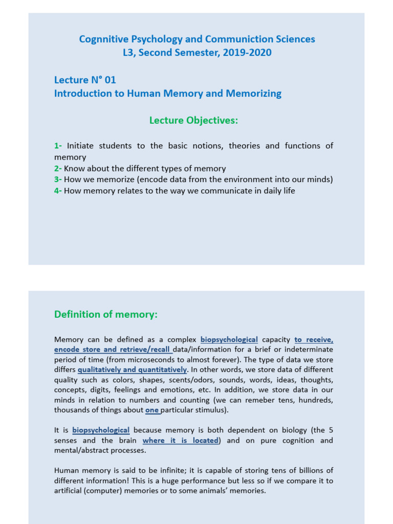 Memory Lecture | PDF | Memory | Perception