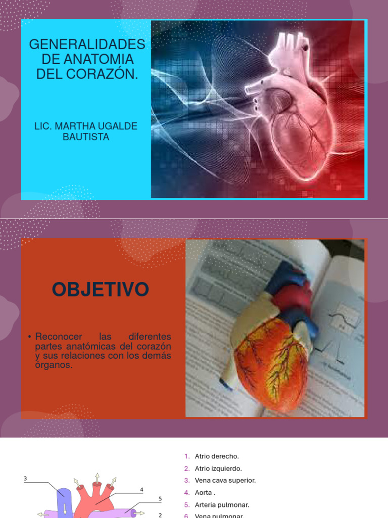 Generalidades de Anatomia Del Corazón 2024 | PDF | Hogar y jardín | Bienestar