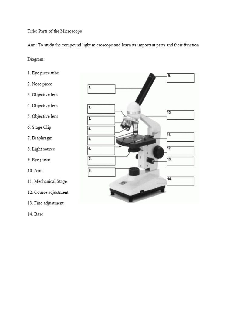 Hsc Lab 1 Pdf Optics Optical Devices 