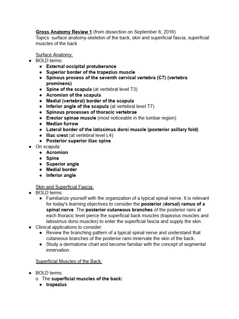 Homeostasis Anatomy Review 1 | PDF | Vertebral Column | Vertebra