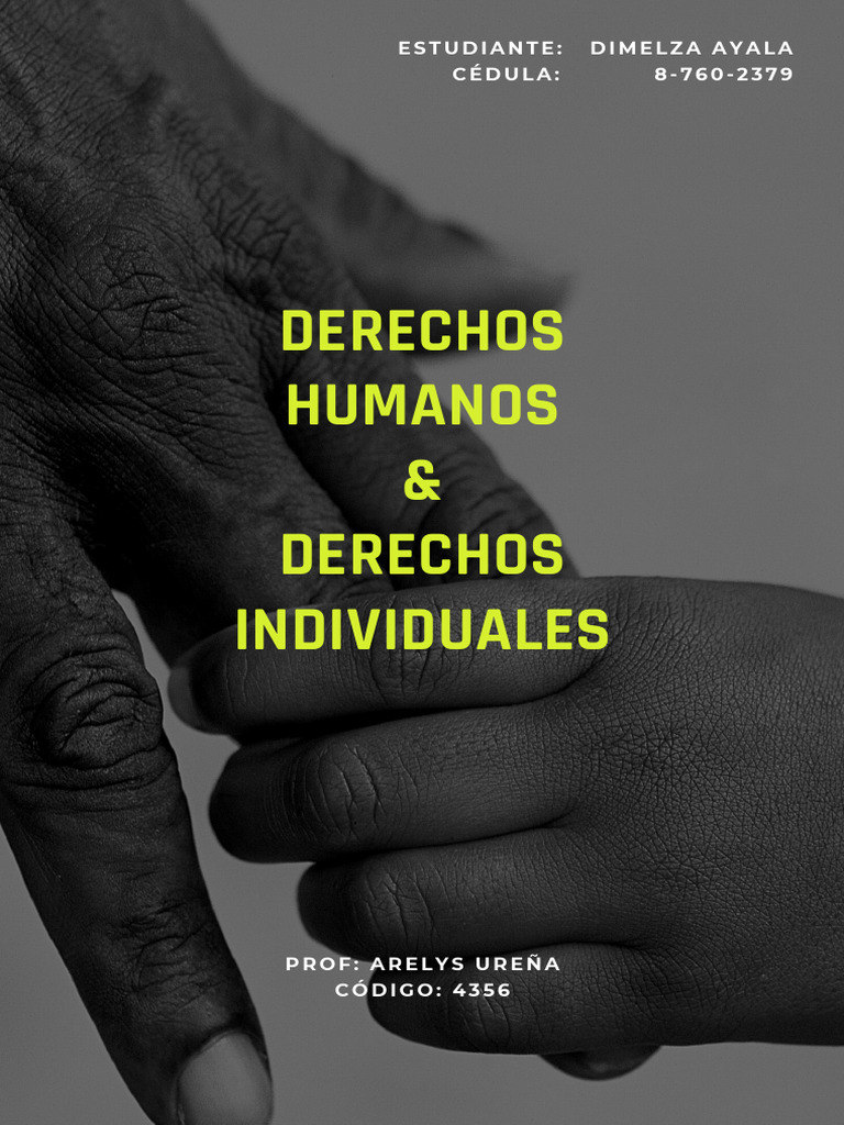 Derechos Humanos e Individuales - Dimelza Ayala | Descargar gratis PDF ...
