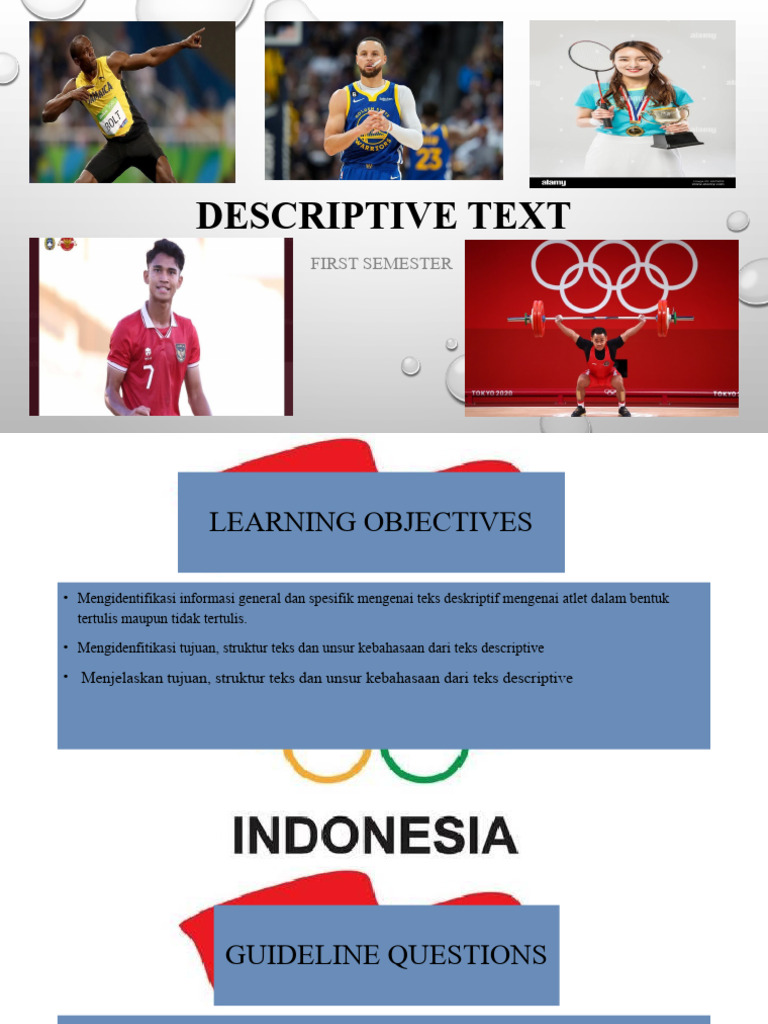 Descriptive Text | PDF | Association Football