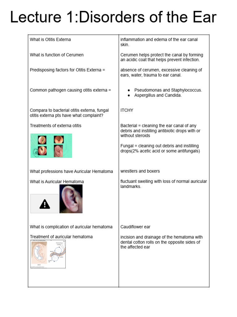 Lecture 1 Disorders of The Ear | PDF | Hearing | Causes Of Death