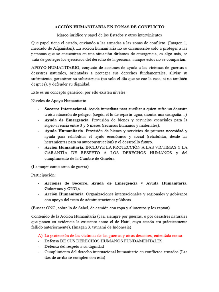 Acción Humanitaria en Conflictos Armados | PDF | Naciones Unidas ...