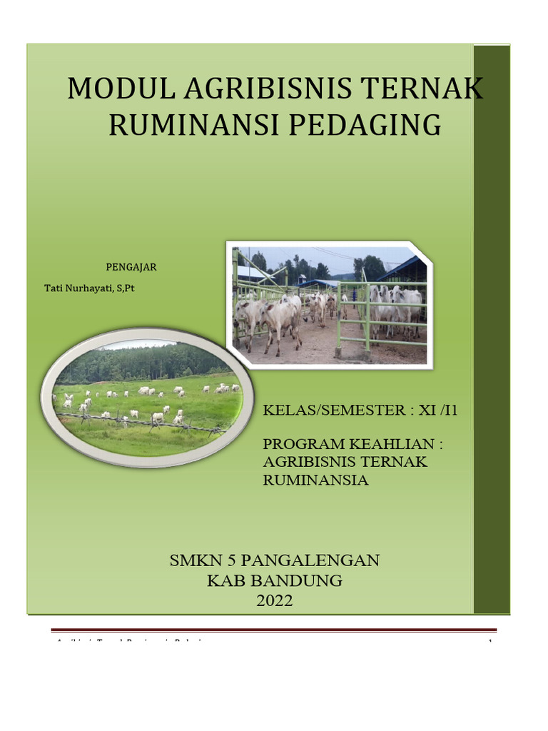 Modul Pedaging | PDF