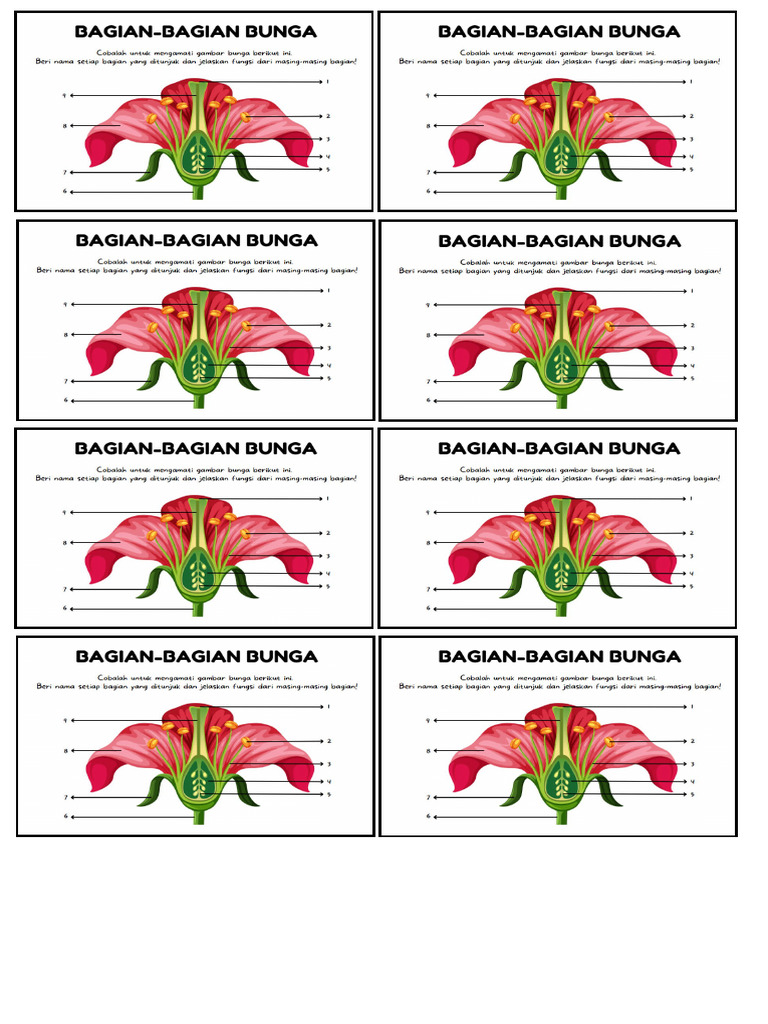 Bagian-Bagian Bunga | PDF