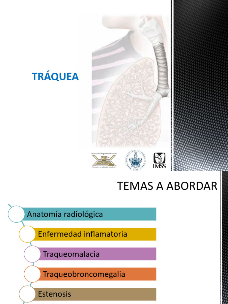 TRÁQUEA | PDF | Tos | Enfermedades y trastornos