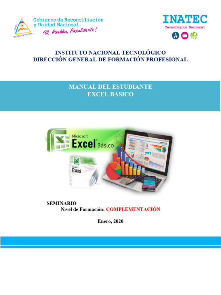 Manual Excel Básico | PDF | Microsoft Excel | Hoja de cálculo