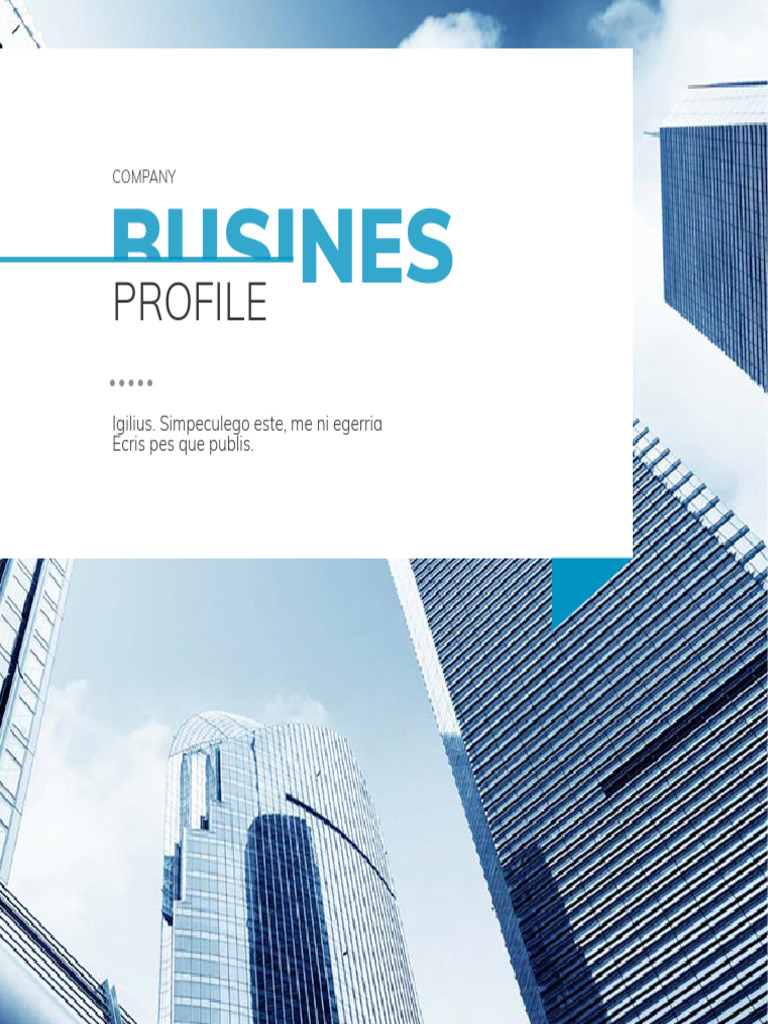 Business Profile | PDF