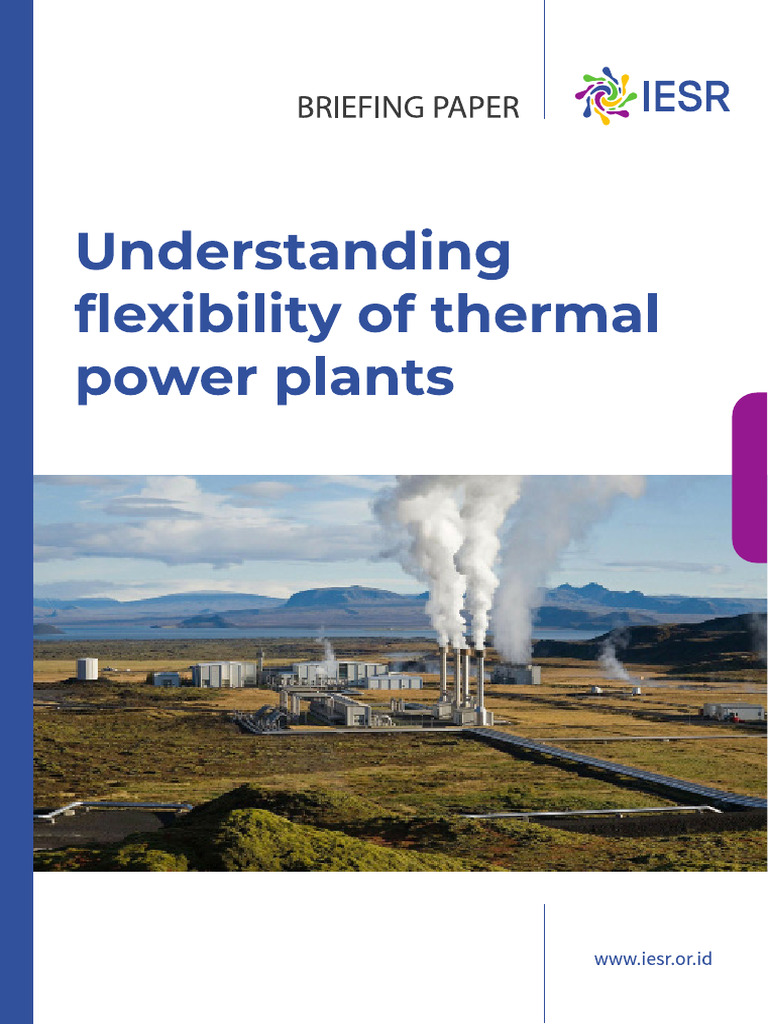 Flexibility in Thermal Power Plants | PDF | Renewable Energy | Solar Power