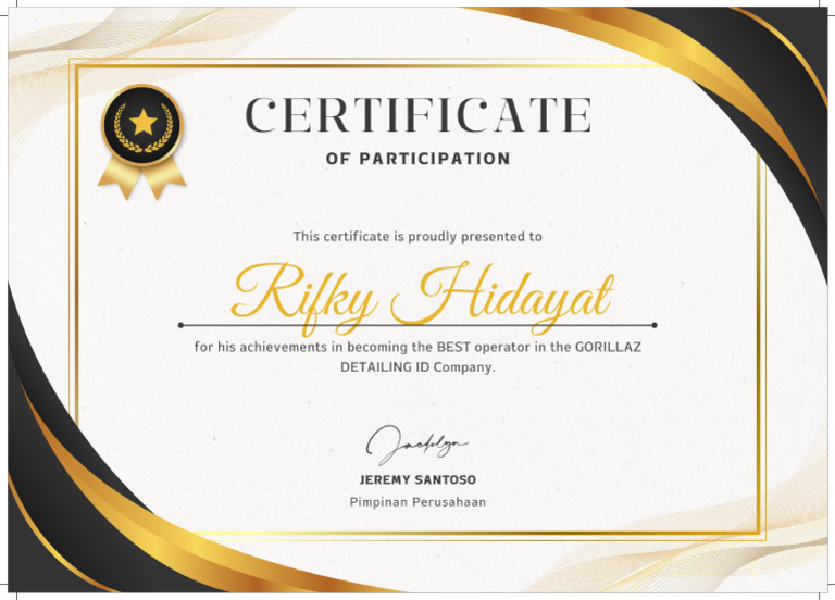 White Gold Elegant Modern Certificate of Participation | PDF