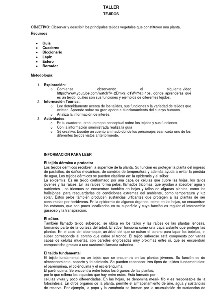 Taller Tejidos Grado 6° | PDF | Músculo | Hueso