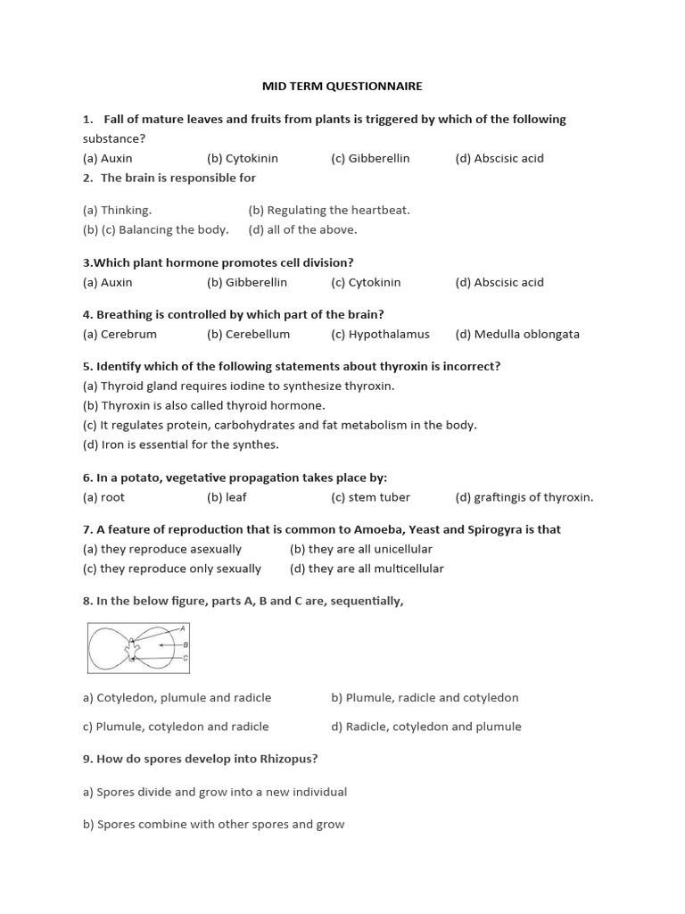 X - BIO - MIDTERM Questionnaire 2425 | PDF | Dominance (Genetics) | Zygosity