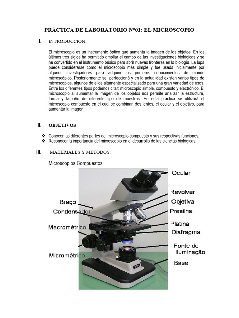 Informe Biologia General | PDF | Microscopio | Laboratorios