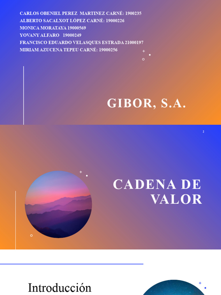 Presentación Gibor Terminado | PDF | Los bosques | Business