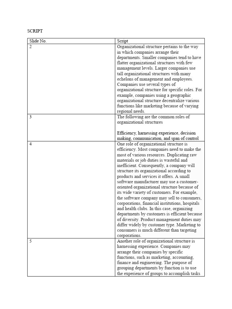 SCRIPT | PDF | Organizational Structure | Marketing