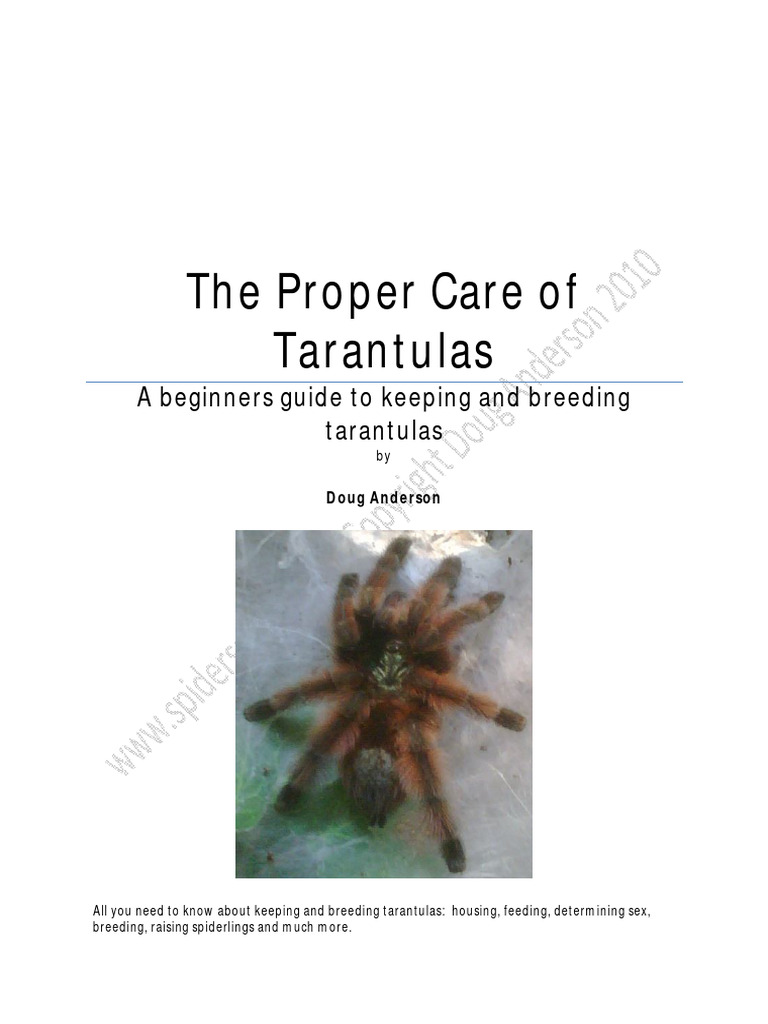The Proper Care of Tarantulas | PDF | Lung | Human Body